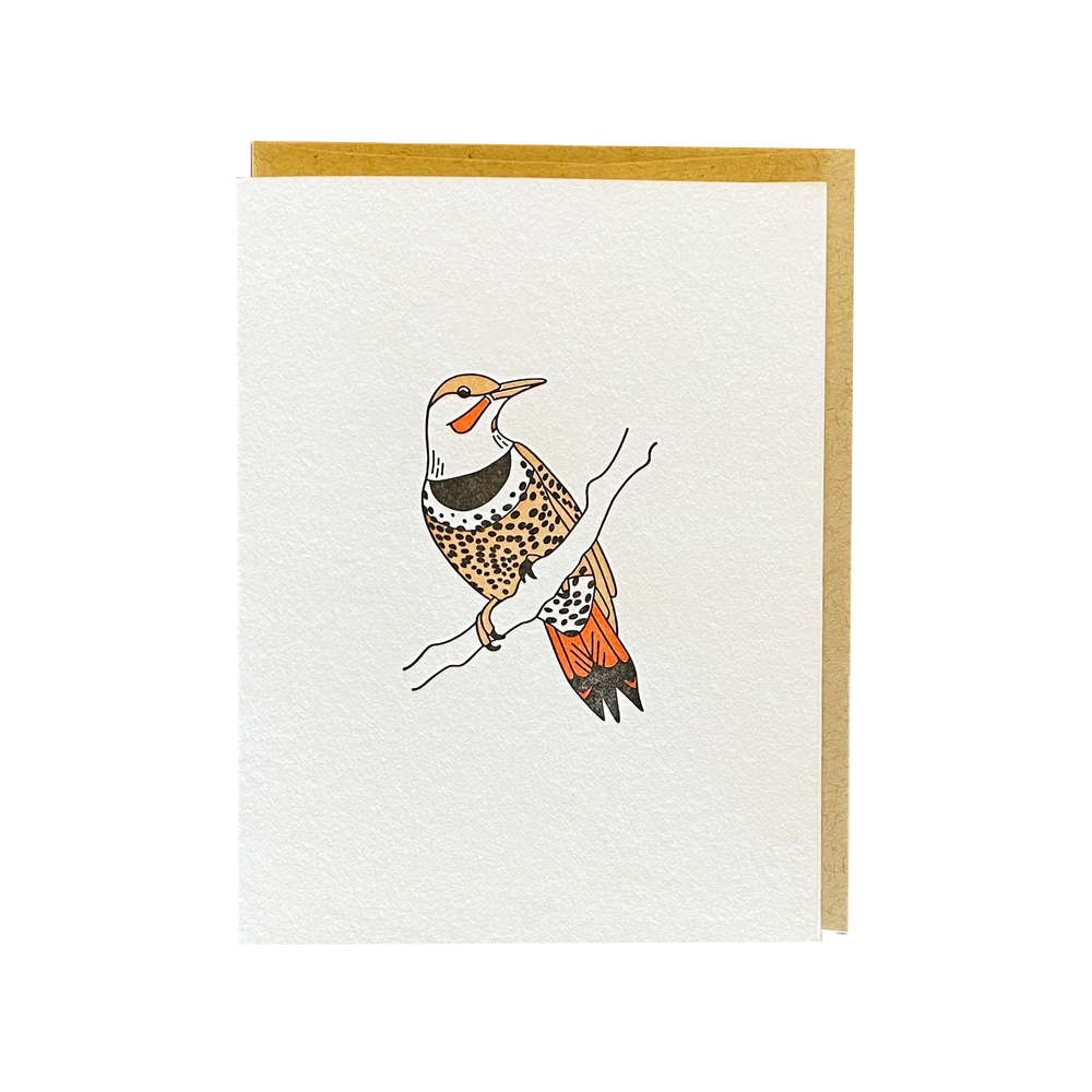 Northern Flicker Card – The Bend Store