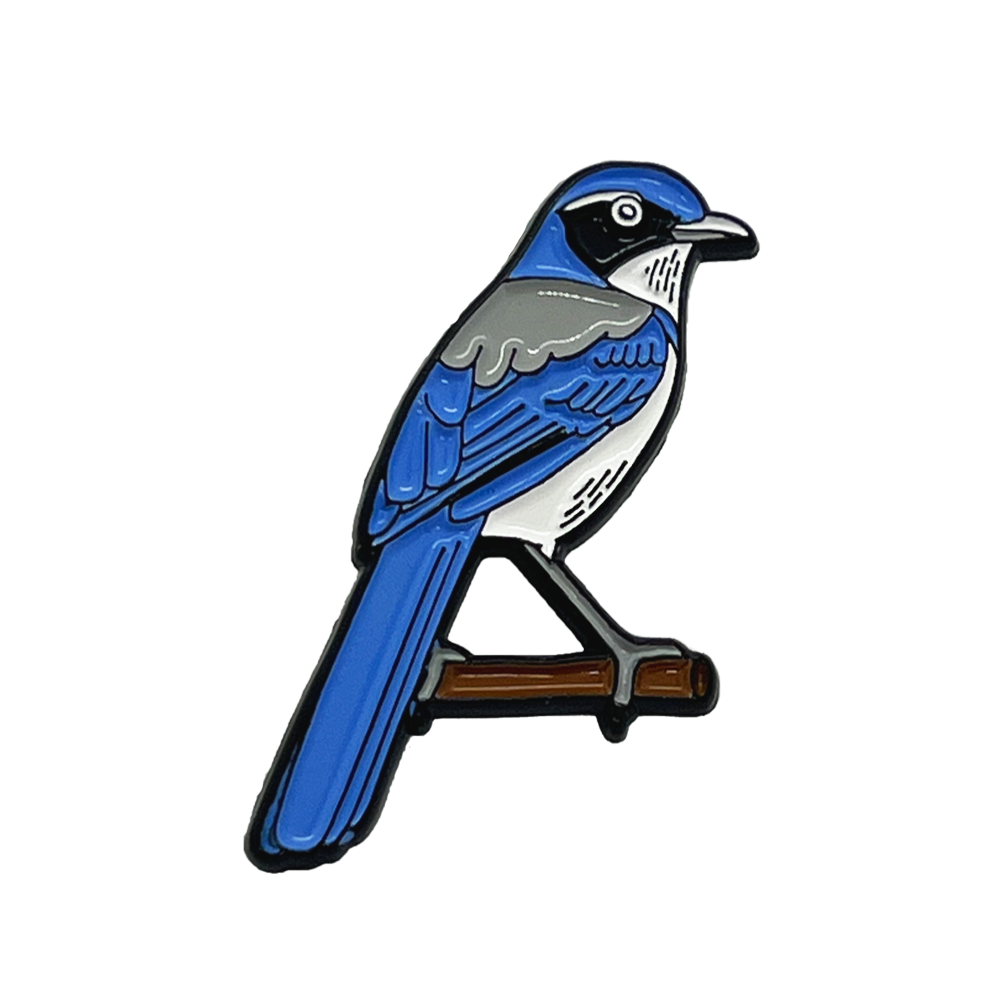 California Scrub Jay Enamel Pin – The Bend Store