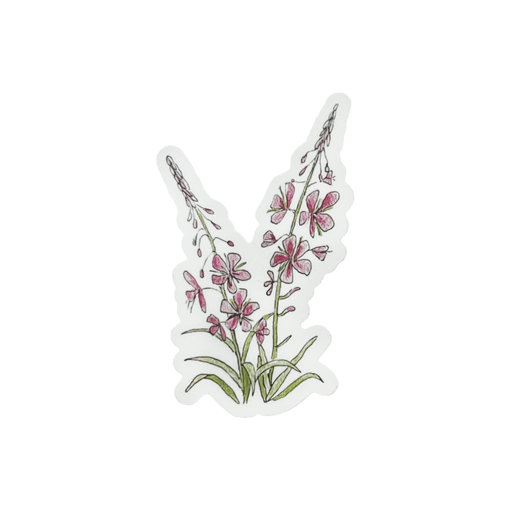 Fireweed Sticker – The Bend Store