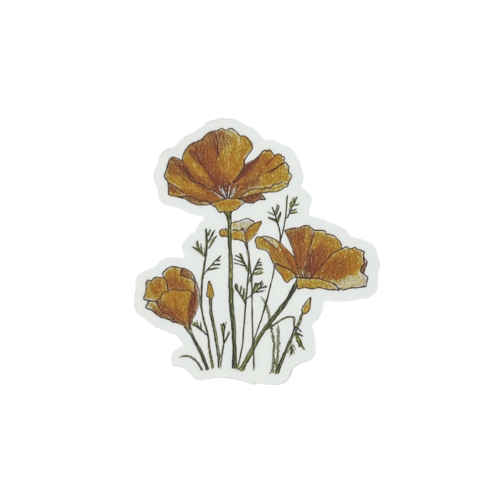 California Poppy Sticker – The Bend Store