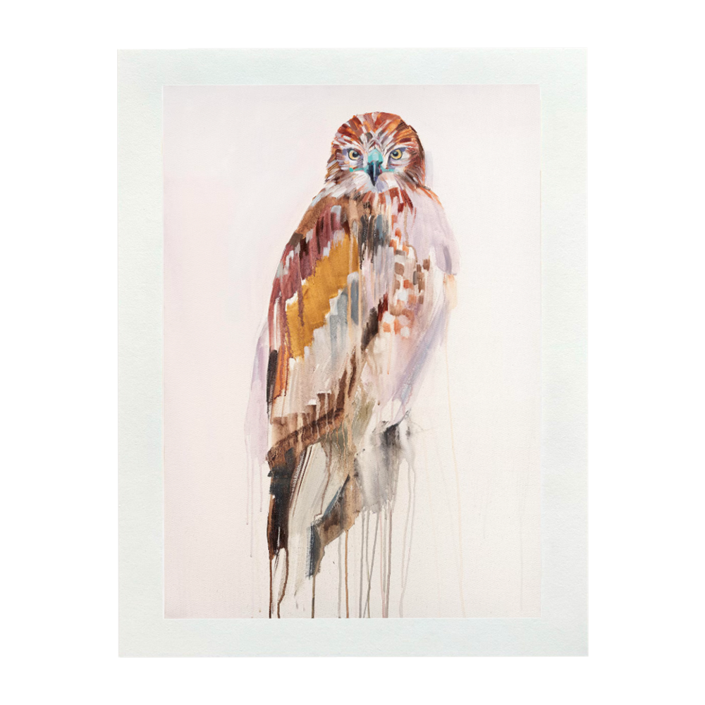 Red-Tailed Hawk Print – The Bend Store