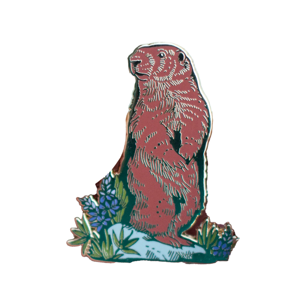 Rock Chuck Enamel Pin – The Bend Store