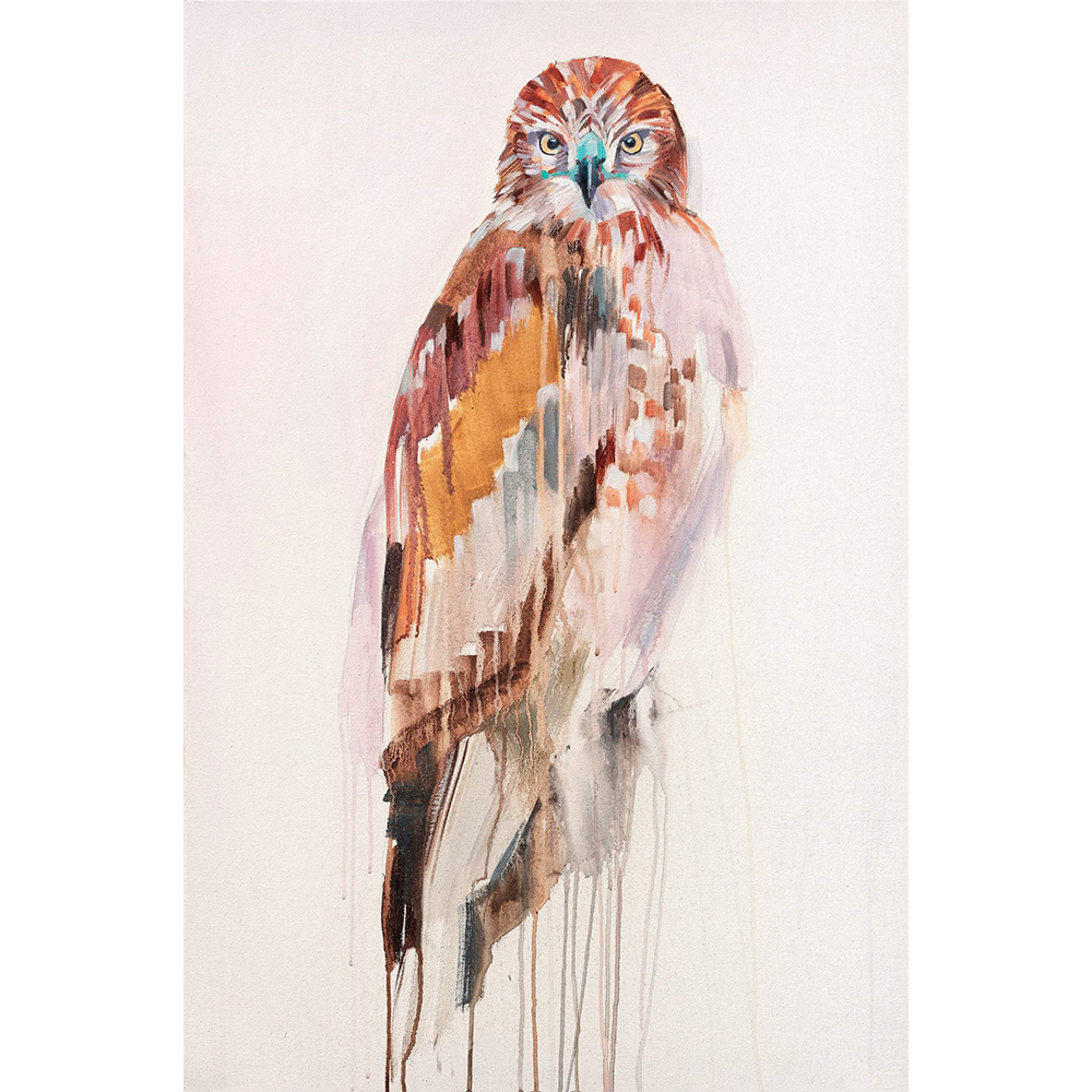 Red-Tailed Hawk Print – The Bend Store